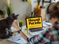 Aloha Animal Alliance Hawaii - Aloha Pet Services