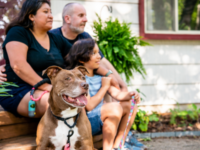 Aloha Animal Alliance Hawaii - Aloha Pet Services